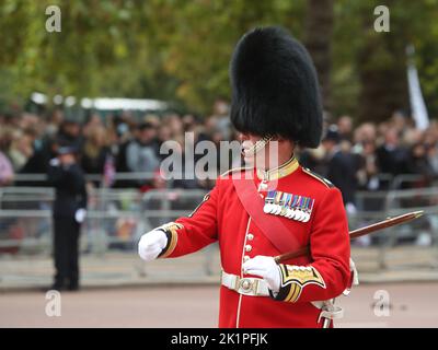 A soldier wearing a bearskin on The Mall at the state funeral of Queen ...