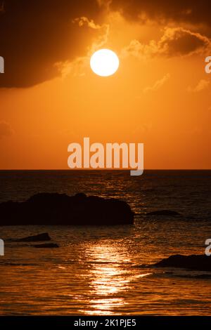 Yellow sunset sun disk over lonely tree in Savanna in Kenya Stock Photo ...