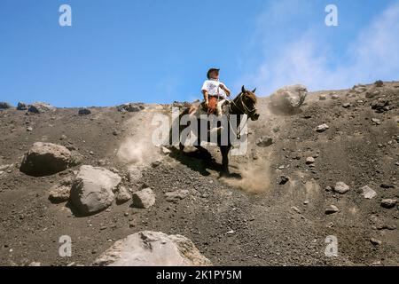 Chile, Conguillio National Park - Vulcano Llaima is to be seen ...