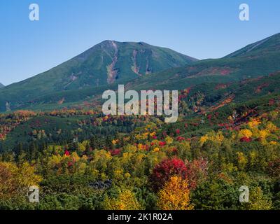 Autumn Leaves in Mt. Tokachi Observatory, Hokkaido, Japan Stock Photo ...