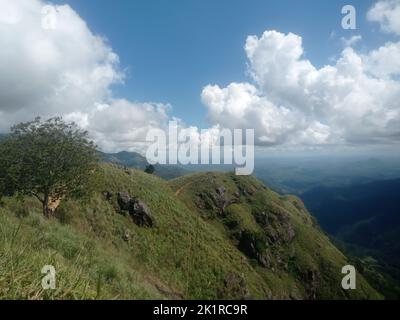 A beautiful shot of mesmerizing cloudy sky over forested fields Stock ...