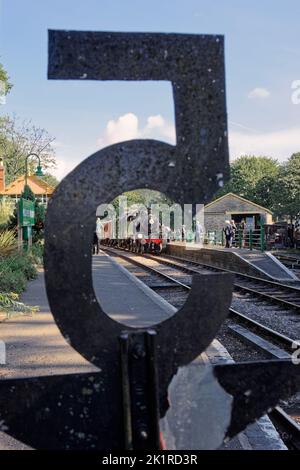 The Pines Express Remembered 18th and 19th September 2022 Somerset and ...