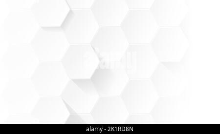 Minimalist and Modern Future Hexagon Abstract Geometric White and Gray Color Polygon Background ...
