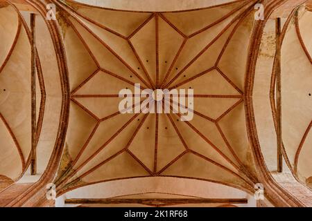 Stellar vault above the crossing of the Georgenkirche (Church of St ...