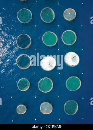 Fish farm at sea. Top view of the fish farm Stock Photo - Alamy