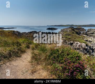 Sandy hiking trail lined with colorful wildflowers leads to the rugged ...