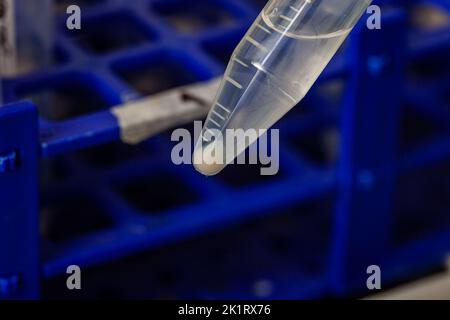 Test tube with blood cells pellet obtained after several washes and ...