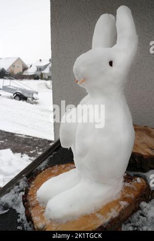 Funny bunny and Christmas background with winter decoration Stock Photo ...