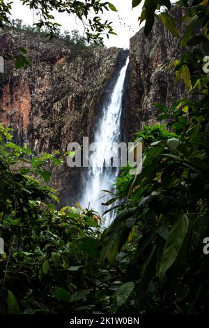 Wallaman Falls, waterfall, surrounded by lush green palms and trees in ...