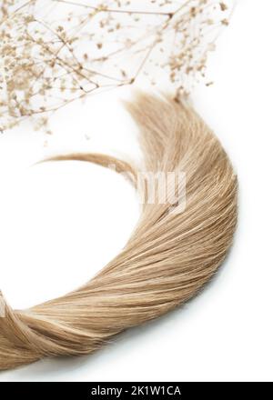 A strand of blond hair on a white background. Close-up Stock Photo - Alamy