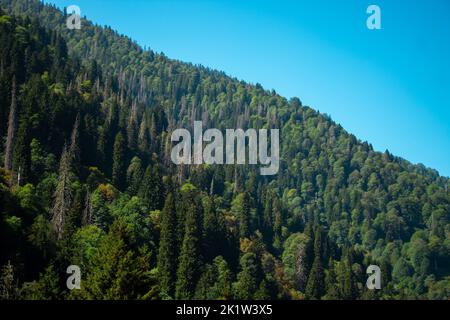 Rize, Turkey - September 2022: Kackar mountains with green forest ...