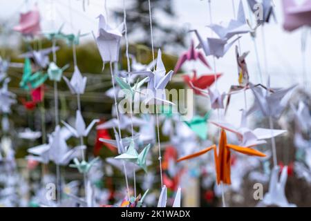Origami cranes hung on a square as a symbol of peace on the 77 ...