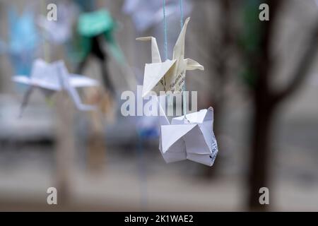 Origami cranes hung on a square as a symbol of peace on the 77 ...