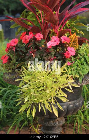 A huge flower pot overflowing with summer plants in a color film ...