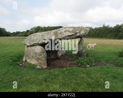 Bodedern, Anglesey, North Wales, UK. 9th August, 2017. Scenes at the ...