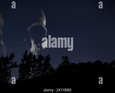 Skull rising above a dark forest on a starry night Stock Photo - Alamy