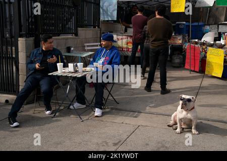THIS FOOL, from left: Frankie Quinones, Marco Khan, Ivana Rojas, 'Clyde ...