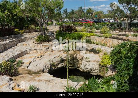 Cenote in parking lot at Costco, Merida, Yucatan Stock Photo - Alamy
