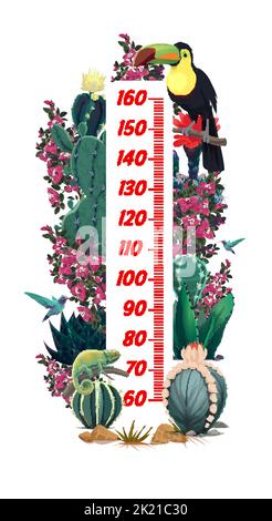 Kids height chart with Mexican cactuses and mariachi musicians chili ...