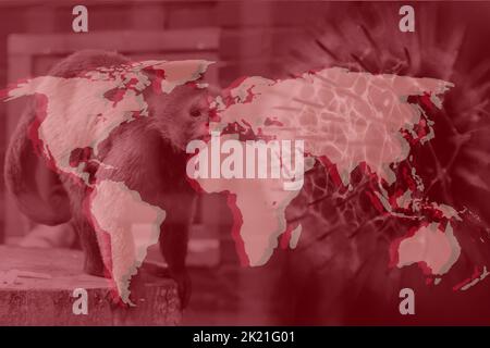 Monkeypox new disease dangerous over the world. Patient with Monkey Pox ...