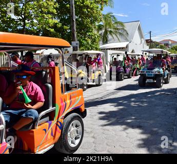 The Ramon's Village Resort float and revelers, celebrating the resort's ...