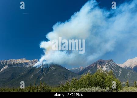 Forest wildfire and smoke on the side of a mountain Stock Photo - Alamy