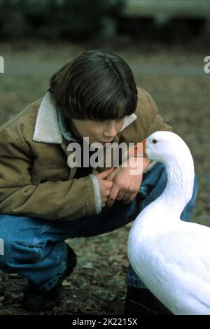 MAX MORROW, GOOSE, GOOSE ON THE LOOSE, 2006 Stock Photo - Alamy