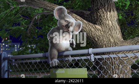 NIGEL, THE WILD, 2006 Stock Photo - Alamy