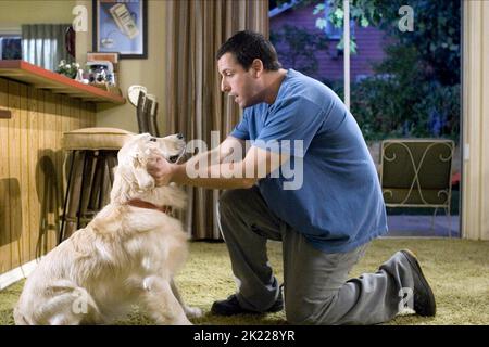 ADAM SANDLER, CLICK, 2006 Stock Photo - Alamy