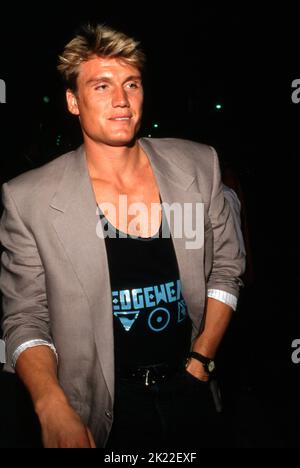 Dolph Lundgren Circa 1980's Credit: Ralph Dominguez/MediaPunch Stock ...