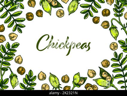 Colorful horizontal chickpeas design. Hand drawn illustration in ...
