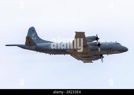 RCAF CP 140 Lockheed Aurora maritime patrol aircraft operated by the ...