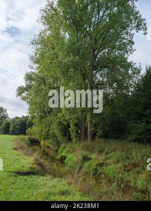 hiking at the berkel river in germany Stock Photo - Alamy