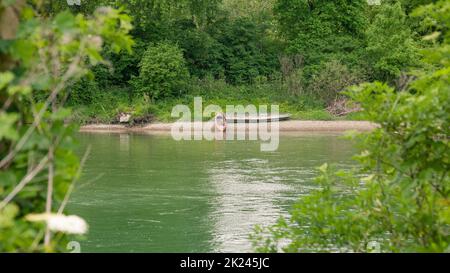 A low angle shot of green-leaved trees on a blue sky background Stock ...