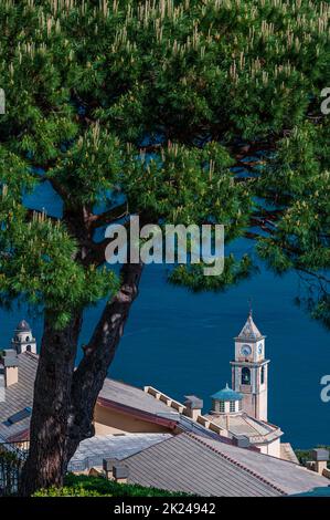 Panoramic view from the hill of Crevari near Genoa Stock Photo - Alamy