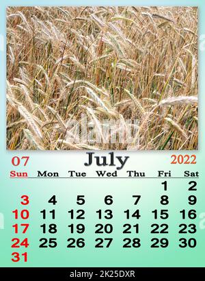 calendar for July 2022 with image of with spikelets of wheat in the ...