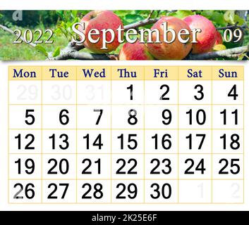 calendar for september 2022 with image of with ripe red apples on ...