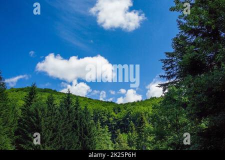 A mesmerizing view of a beautiful green field with trees against a ...
