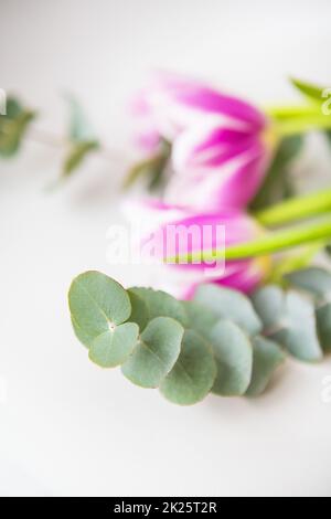 Pink tulip close up. Cute pink tulips, spring pink flowers Stock Photo ...