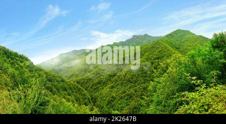 Beautiful panorama mountains of Montenegro. Mountains and forests on ...