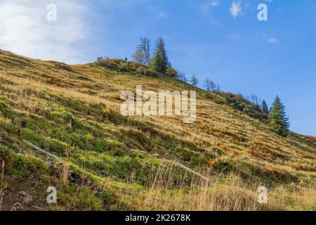 Around Warth in Austria Stock Photo - Alamy