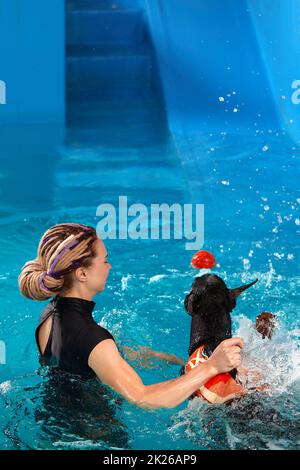 Dog in life jacket swim in the swimming pool with coach. Pet rehabilitation. Recovery training ...