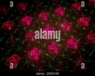 Beautiful shot of the firework illuminated dark sky Stock Photo - Alamy