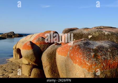 Bright red rocks at the Bay of Fires in Tasmania, Australia Stock Photo ...