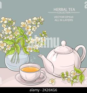 jasmine tea vector illustration Stock Photo - Alamy