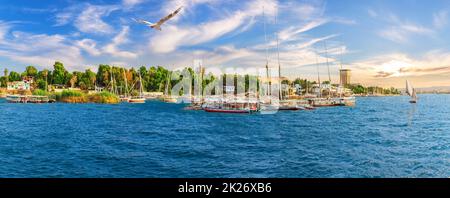 Nile River scenery with famous sailboats, Aswan, Egypt Stock Photo - Alamy