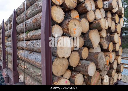 Transport of timber on railway wagons Stock Photo - Alamy
