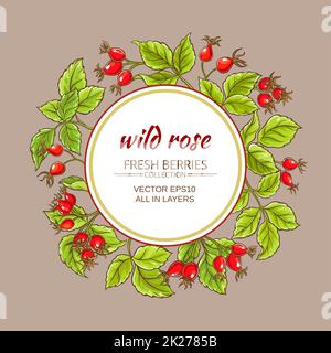 wild rose vector frame Stock Photo - Alamy