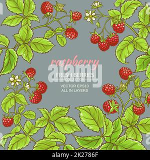 raspberry vector frame Stock Photo - Alamy