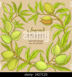 almond vector frame Stock Photo - Alamy